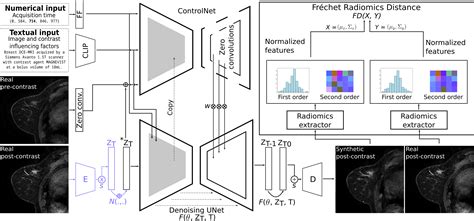 Similarity Aware Syncretic Latent Diffusion Model For Medical Image