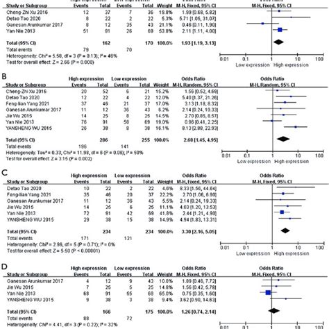 Forest Plot Of Pooled Ors For Clinicopathological Features And High