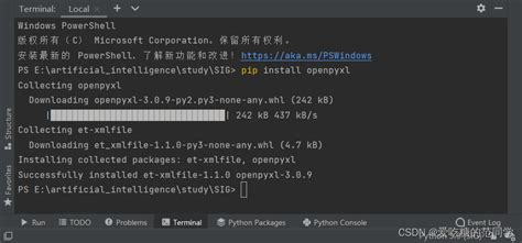 【python】使用python操作xlsx数据表python Xlsx Csdn博客
