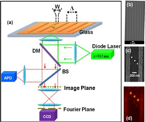 A Schematic Description Of The Setup B Sem Of A Gold Plasmonic