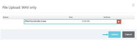 Working With Audio Versions