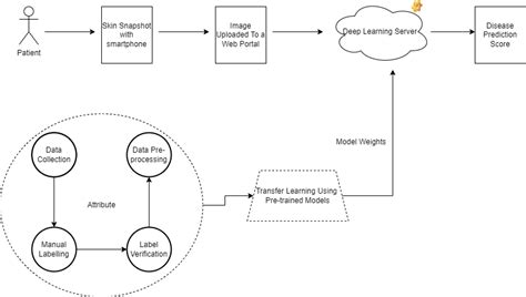 Github Ochanyo Monkeypox Classification