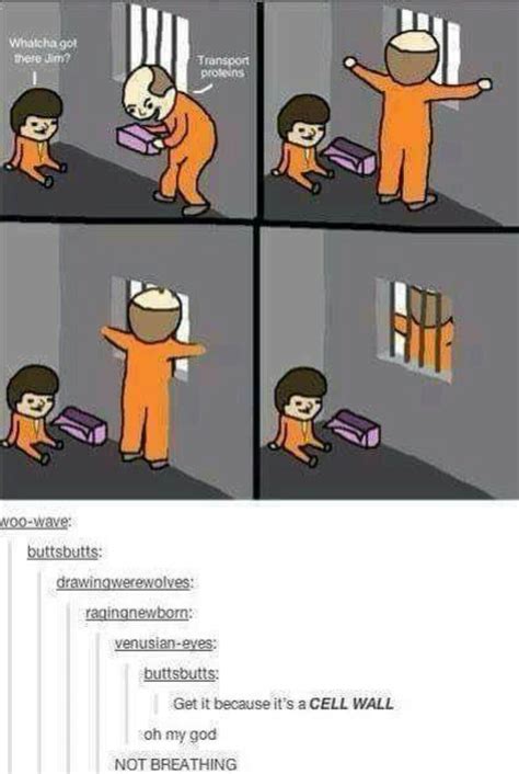 Hahaha Science Puns Cell Wall And Transport Proteins And Prisoner