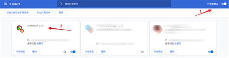 说说在 Idea 中如何使用 Devtools 与 Livereload 实现热部署（包括代码与静态资源）devtools