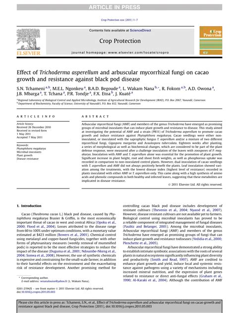 Pdf Effect Of Trichoderma Asperellum And Arbuscular Mycorrhizal Fungi On Cacao Growth And