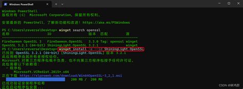 windows11使用winget安装openssl win11 安装openssl csdn博客