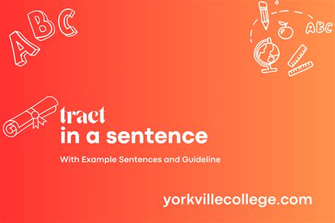 How To Use Tract In A Sentence Easy Examples