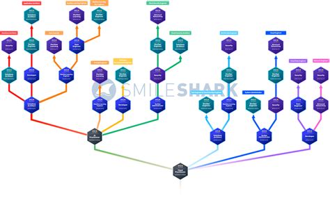 Aws 자격증 종류와 등급 2025년 꼭 알아야 할 변화