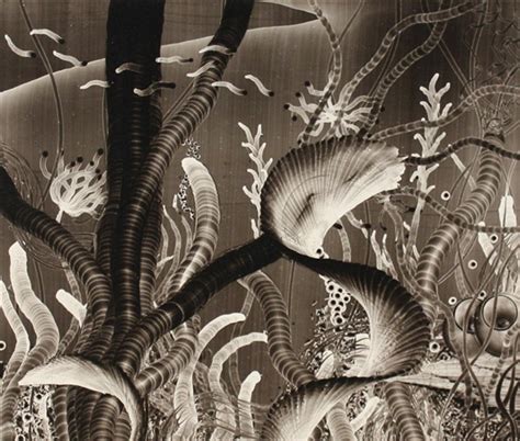 Matt Killick Performance At Auction Mutualart