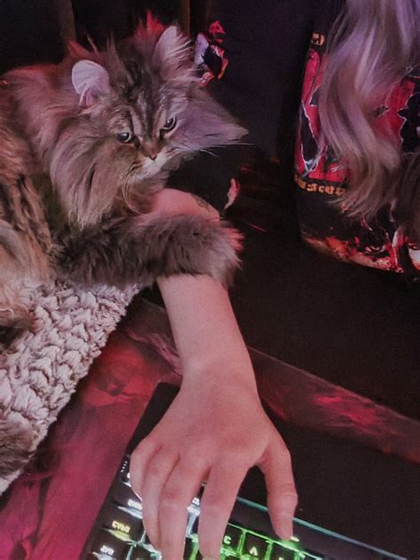 Post By Ashmonster On X 🙂