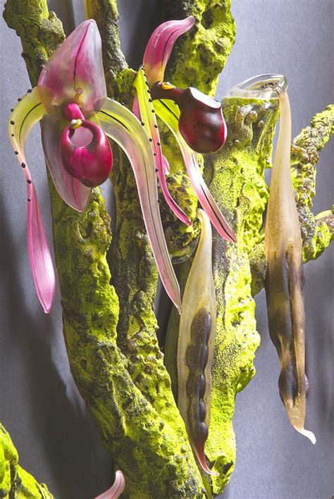 Portfolio — Debora Moore