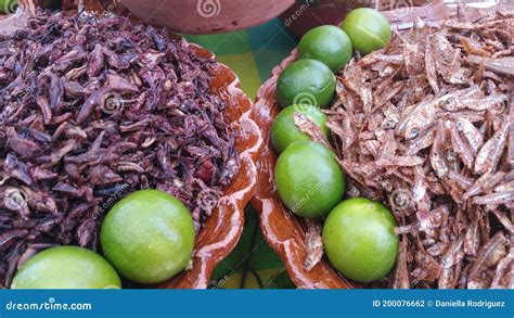 Charales Cricket Grillos Grillos Mexicanos Limes De Comida Típica Foto
