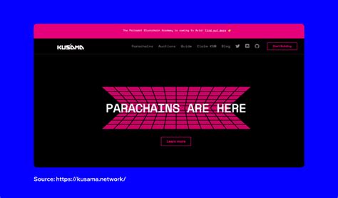 The Polkadot Ecosystem Explained Trust
