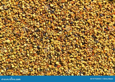 Colorful Bee Pollen Background Stock Image Image Of Alternative