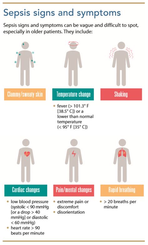 Infographic Sepsis And Septic Shock