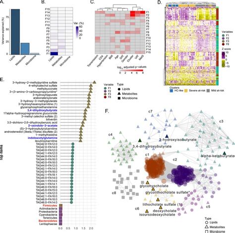 Network Based Multi Omics Integration Reveals Metabolic At Risk Profile Within Treated HIV