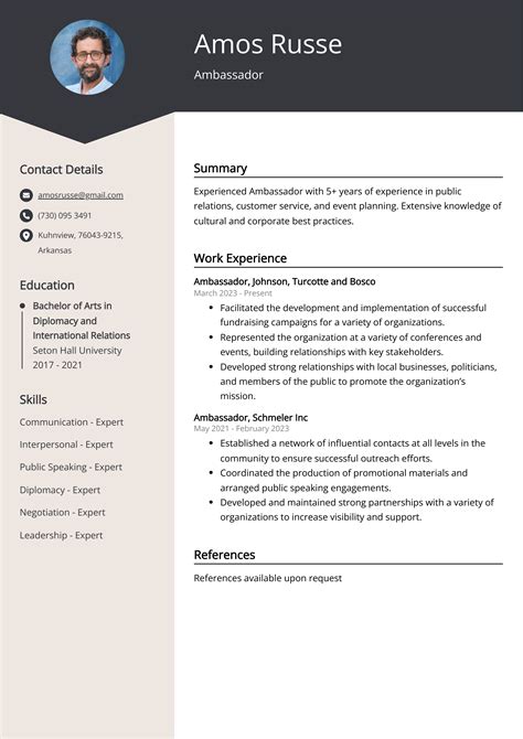 Ambassador Cv Example For 2024