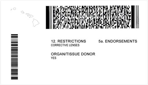 Mclovin Drivers License Custom With Your Photo