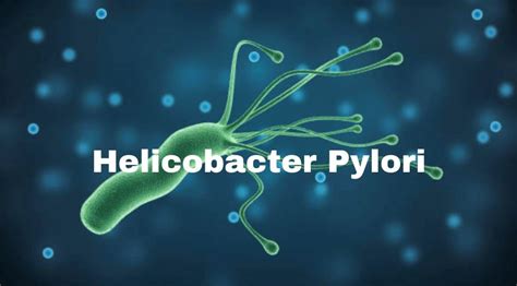 Stomach Ulcer And Bad Breath This Infamous Mouth Bacteria Can Explain Why You Have Both