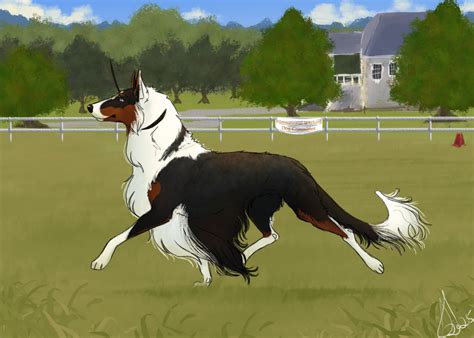 Gch Wch Karma On Toyhouse