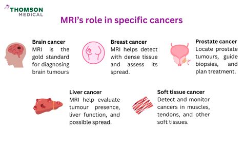 Cancer Mri Scan A Guide To Imaging And Oncology Diagnosis Thomson