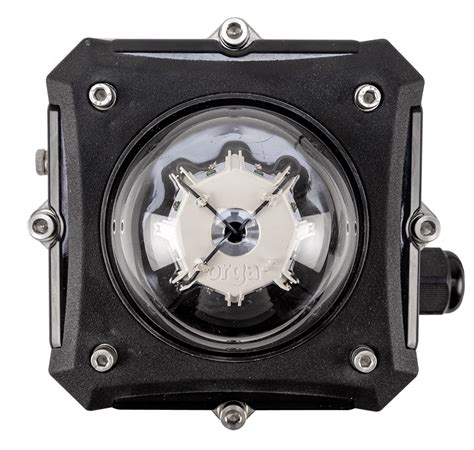 L85ex G Xxx Perimeter Lights Orga