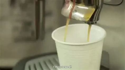 Sofia Botelho Teaching English In Mtv Brazil Series Descolados 2009