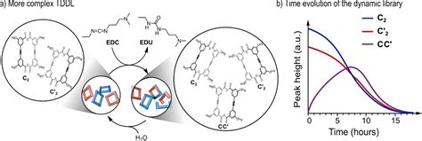 Dissipative Dynamic Libraries Ddls And Dissipative Dynamic
