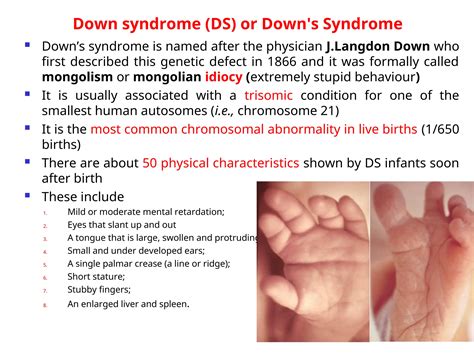 Chromosomal Mutations Ii Entire Set Of Chromosome Ppt