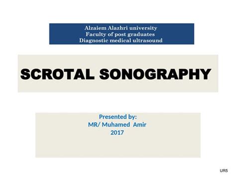Imaging Vastitis Differentitis Funiculitis Seminal Vesiculitis Dr Ahmed