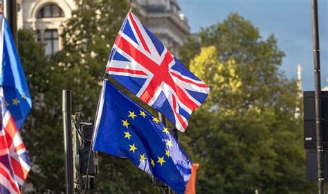 Brexit Explained What Is The Single Market A Simple Guide Politics