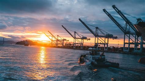 Siecap Nz — Project Services