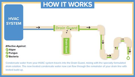 Drain Guard Hvac Ultimate Guide To Protecting Your System