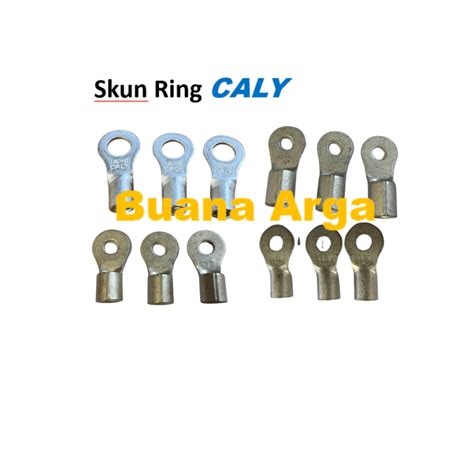 Jual Cable Lug Skun Kabel Caly 14 Ring Polos Lubang Baut 5 6 8 10 12