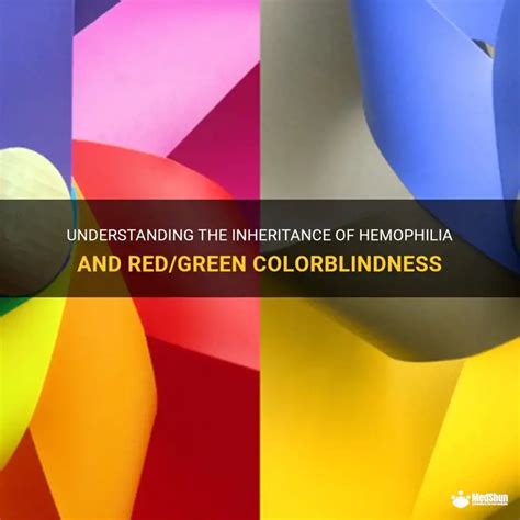 Understanding The Inheritance Of Hemophilia And Red Green Colorblindness Medshun