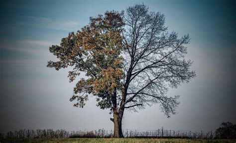 national the environmental divide