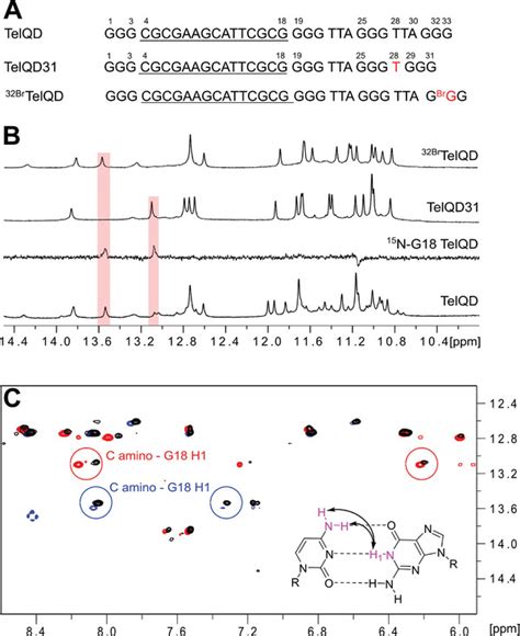 Structural Differences At Quadruplex‐duplex Interfaces Enable Ligand