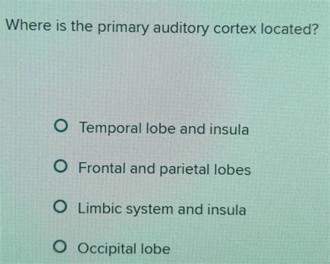 Solved Where Is The Primary Auditory Cortex Located Temporal Lobe And