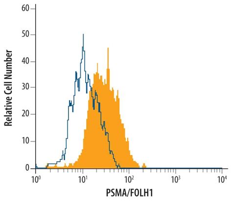 Psmafolh1naaladase I Antibodies Novus Biologicals