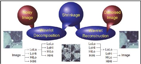 The Wavelet Shrinkage Procedure Demonstrated On A Cropped Biomedical Download Scientific