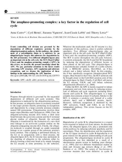 Pdf The Anaphase Promoting Complex A Key Factor In The Regulation Of