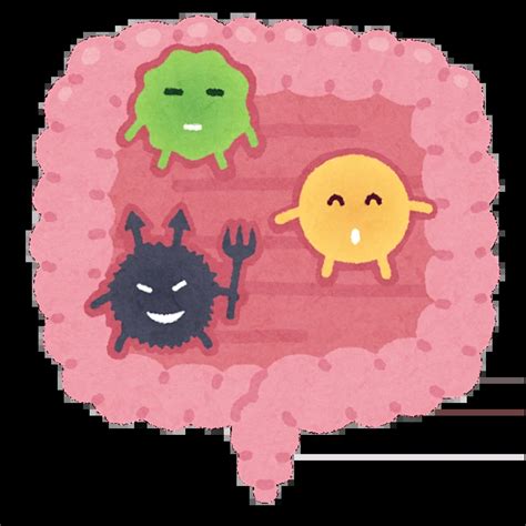 内脏 肠道 胃病 大便 卡通 插画 免扣 素材 手绘 Png3 花瓣网