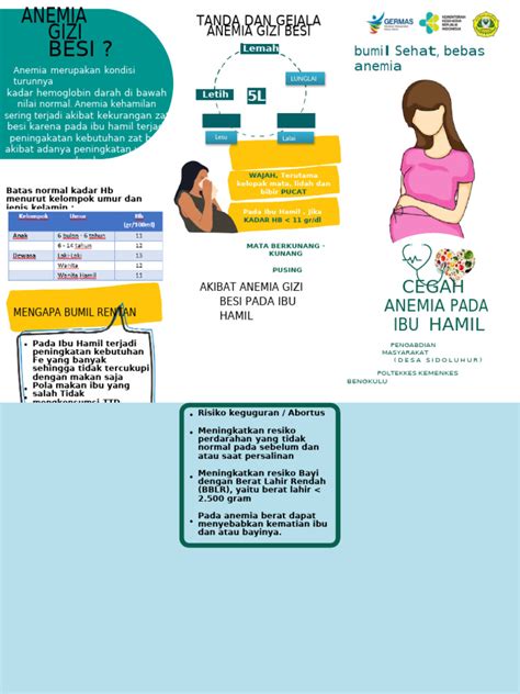 Leaflet Tablet Fe Bumil Pdf