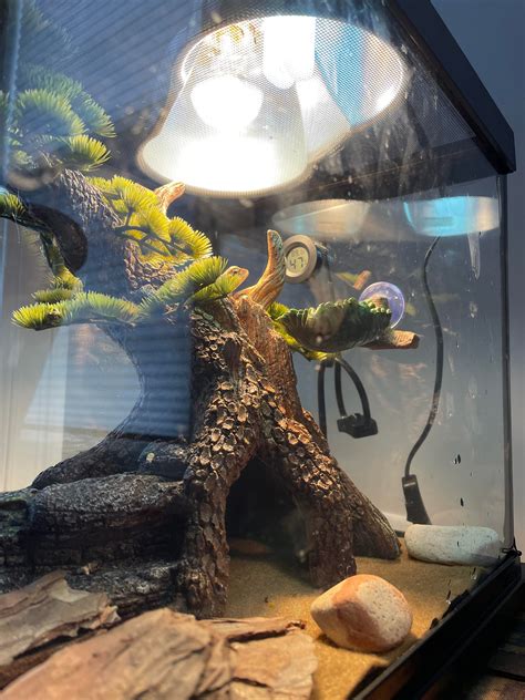 Tokien Really Hated Men Rtolkienfans