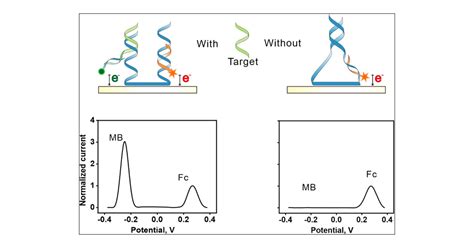 Development Of A Single Molecule Nanobalance Ratiometric Electrochemical Dna Biosensor Using A