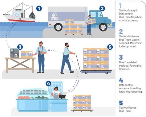 Seafood Labeling Solutions How Bluetrace Reels In Efficiency