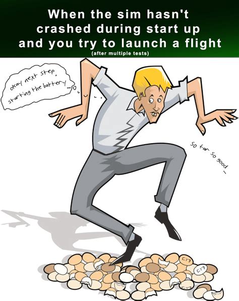 When Your Sim Hasnt Crashed After Multiple Tests Rflightsim