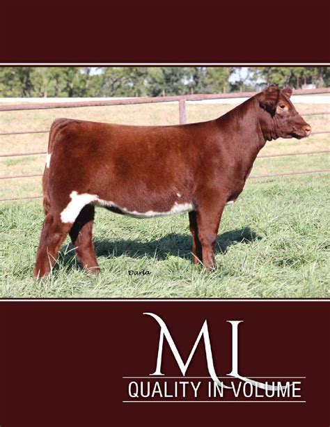 Maternal Legends 2013 Sale Catalog By Ranch House Designs Issuu