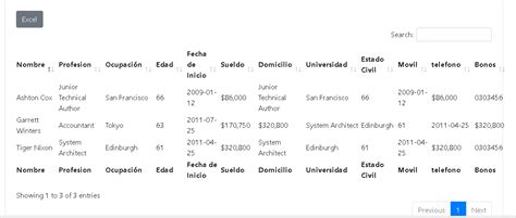 Plantilla Aplicada No Afecta Todas Las Columnas Al Exportar A Excel — Datatables Forums