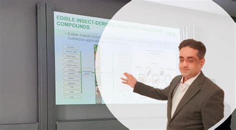 Kashif Ur Rehman On Linkedin Summeruniversitylab Insectsasfoodandfeed Sustainability